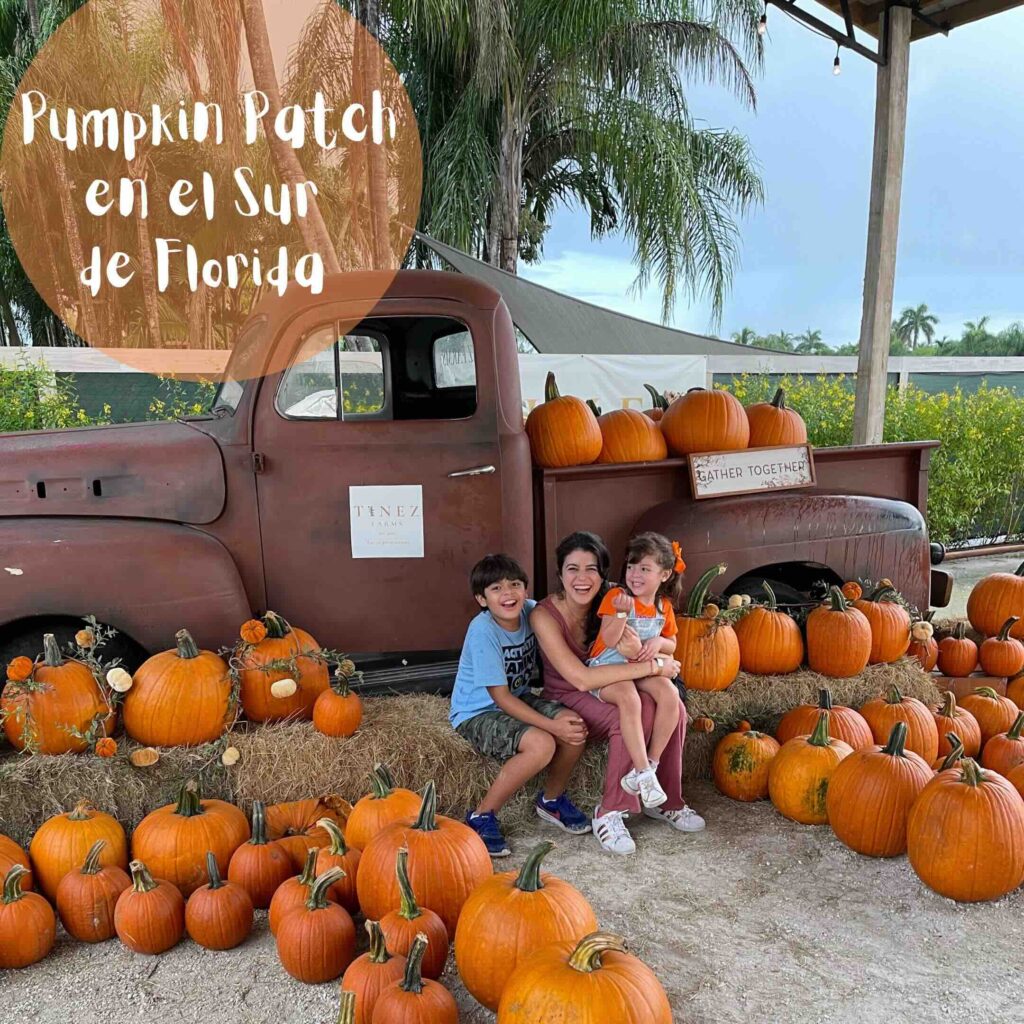 Pumpkin Patch Miami - Miami con Hijos