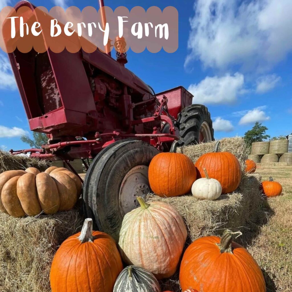 Pumpkin Patch Miami - Miami con Hijos